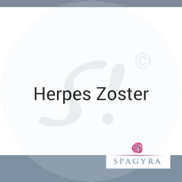 Herpes Zoster Nosode Spagyra D 30 Globuli 10 ml